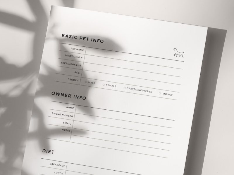 Printable Pet Care Planner – Onwards + Upwards
